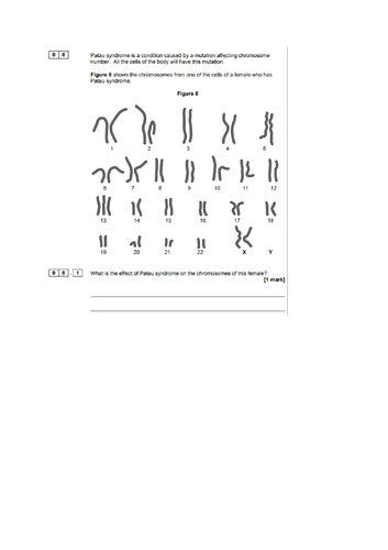 AQA Gene Expression - BUNDLE | Teaching Resources
