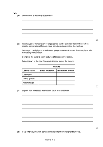 20.4 Epigenetic Control of Gene Expression | Teaching Resources