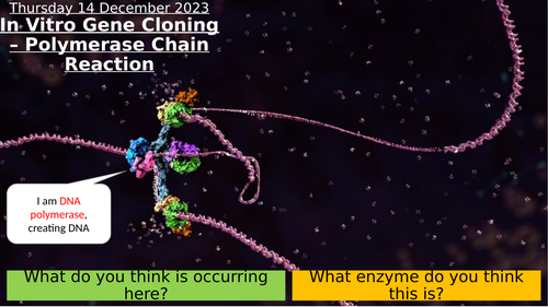 21.3 In Vitro Gene Cloning - the polymerase chain reaction | Teaching ...