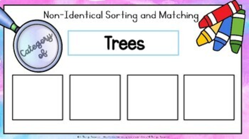 Non-Identical Sorting - Over 35 Categories - Real Life Photos - Special ...