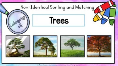 Non-Identical Sorting - Over 35 Categories - Real Life Photos - Special ...