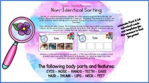 Non-Identical Sorting - Body Parts & Facial Features - Special ...