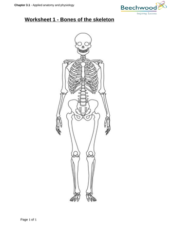 Bones Of The Skeleton Gcse Physical Education Aqa Teaching Resources