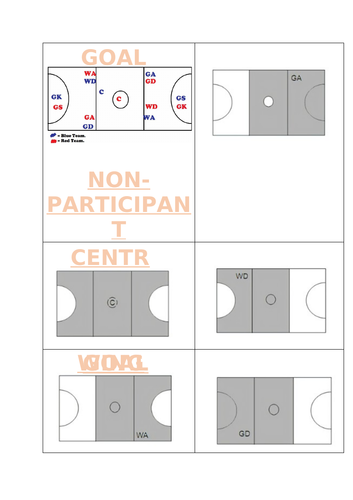 Netball Position Cards | Teaching Resources