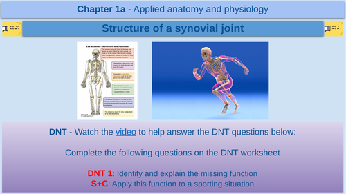 Structure of a synovial joint - Part 1 - GCSE Physical Education - AQA ...