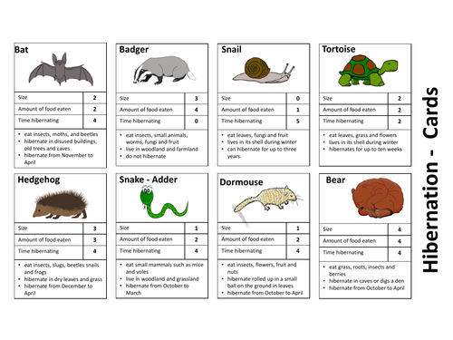 Which animals hibernate? Card game | Teaching Resources