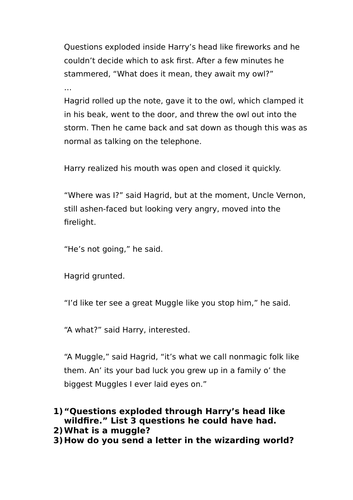 Harry Potter and the Philosopher's Stone Literacy Planning | Teaching ...