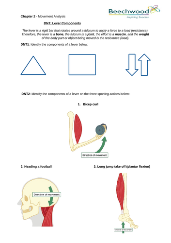 Lever Systems - GCSE Physical Education - AQA | Teaching Resources Lever Systems - GCSE Physical Education - AQA | Teaching Resources