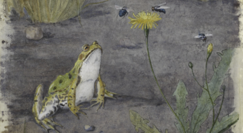 'Death of a Naturalist' by Seamus Heaney - Lesson + Study Guide ...