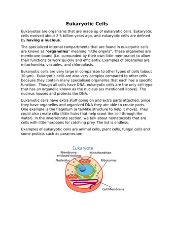 BTEC Applied Science- Eukaryotic Cells | Teaching Resources