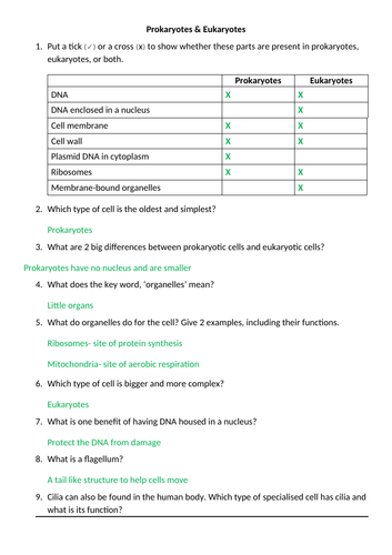 BTEC Applied Science- Eukaryotic Cells | Teaching Resources