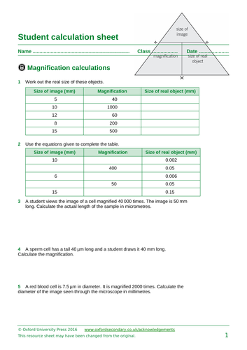 BTEC Applied Science Unit 1- Magnification | Teaching Resources