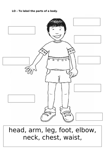 Label parts of a body worksheet | Teaching Resources