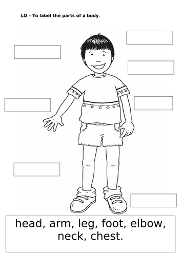 Label parts of a body worksheet | Teaching Resources