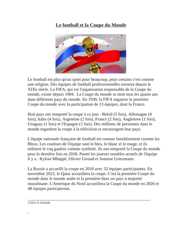 Le football et la Coupe du Monde: French Reading on Soccer and World ...
