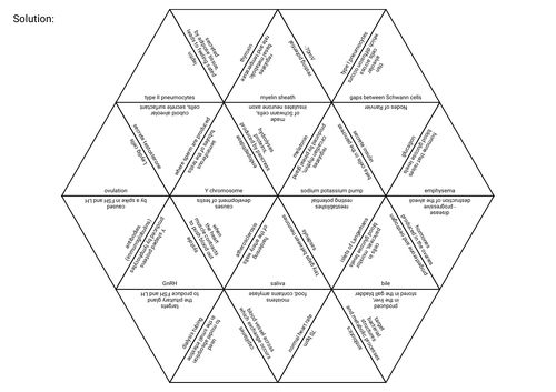 IB DP Biology Unit 6 Tarsia | Teaching Resources