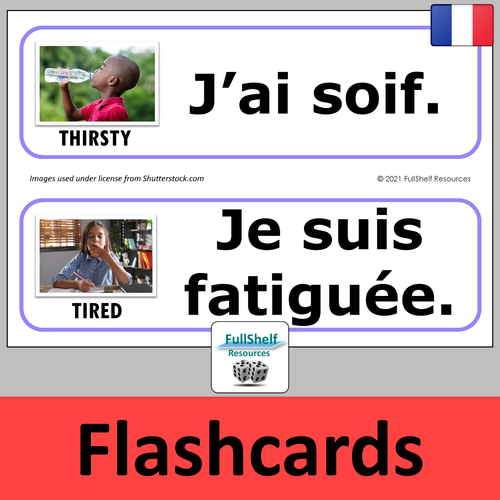 French Emotions and Feelings Les Sentiments | Teaching Resources