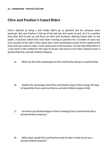 Business Ownership Worksheet and Lessons | Teaching Resources