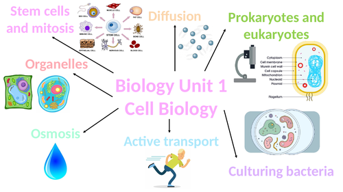 AQA Biology GCSE Summary Presentations | Teaching Resources AQA Biology GCSE Summary Presentations | Teaching Resources