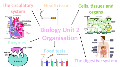 AQA Biology GCSE Summary Presentations | Teaching Resources AQA Biology GCSE Summary Presentations | Teaching Resources
