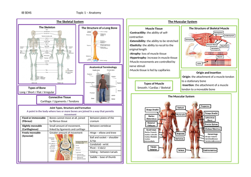 IB SEHS Topic on a page core SL | Teaching Resources