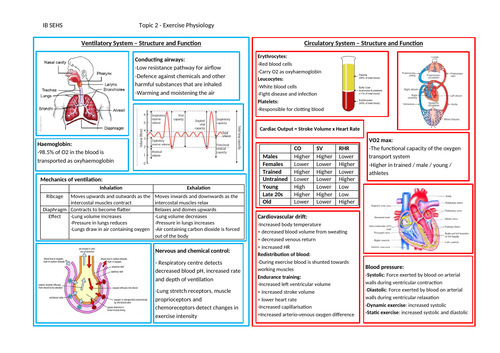 IB SEHS Topic on a page core SL | Teaching Resources