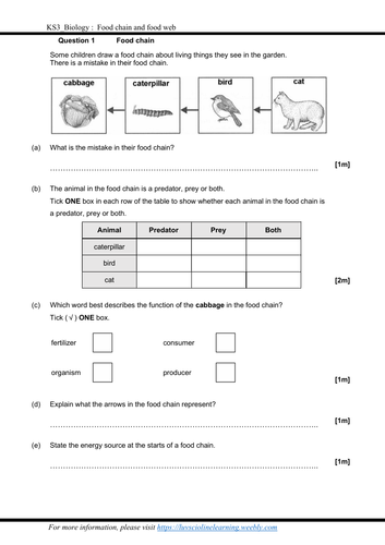 KS3_Secondary 1 checkpoint_worksheet and revision (with answer script ...