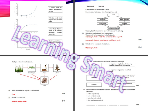 KS3_Secondary 1 checkpoint_worksheet and revision (with answer script ...