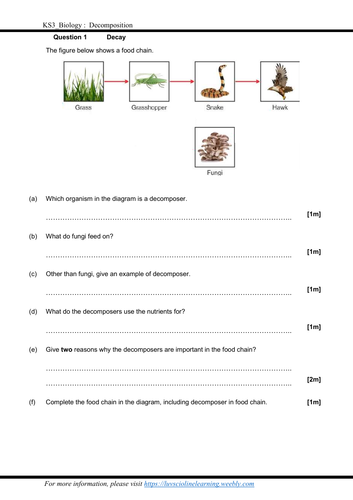 KS3_Secondary 1 checkpoint_worksheet and revision (with answer script ...
