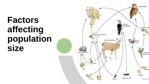 KS3_Secondary 1 checkpoint_worksheet and revision (with answer script ...