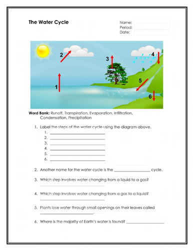 Nutrient, Water, Nitrogen, Phosphorus cycles | Teaching Resources