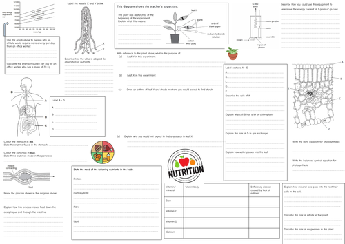IGCSE Nutrition Revision Map | Teaching Resources