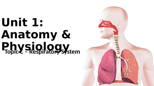 BTEC Sport L3 Unit 1 A&P - Respiratory System | Teaching Resources