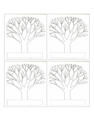 The Tiny seed planning | Teaching Resources