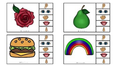 5 Five Senses Clip Cards - 64 Clip Cards - Early Learning Resources ...