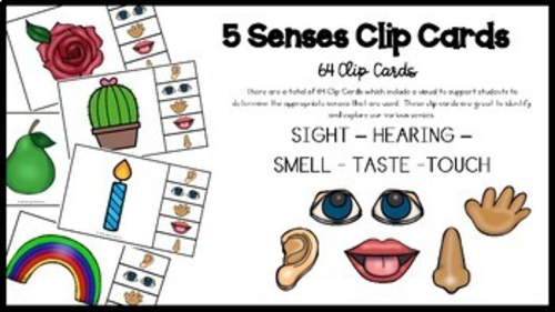 5 Five Senses Clip Cards - 64 Clip Cards - Early Learning Resources ...