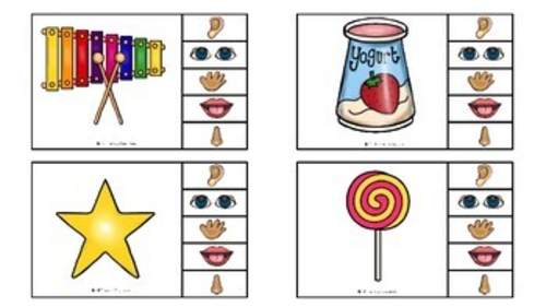 5 Five Senses Clip Cards - 64 Clip Cards - Early Learning Resources ...