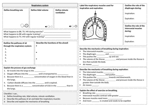 OCR GCSE Revision PE Paper 1: Respiratory system | Teaching Resources