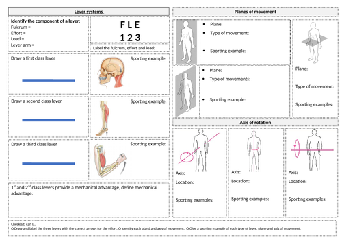 Ocr Gcse Pe Paper 1 Revision Worksheets Teaching Resources