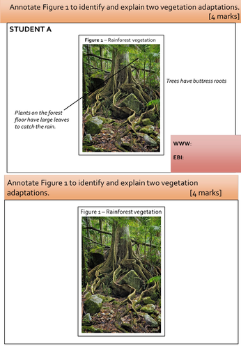 Tropical Rainforests Scheme of Work | Teaching Resources