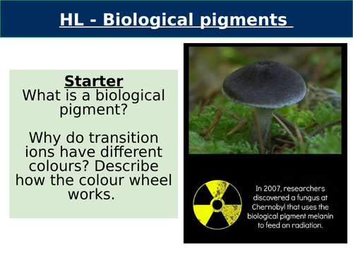 Option B. Biochemistry - Pearson IB Chemistry Lesson PowerPoints (whole ...