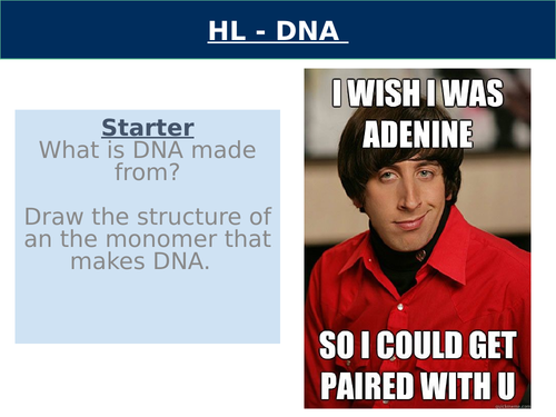 Option B. Biochemistry - Pearson IB Chemistry Lesson PowerPoints (whole ...