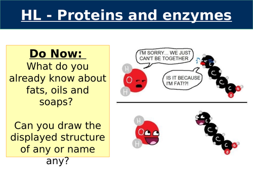 Option B. Biochemistry - Pearson IB Chemistry Lesson PowerPoints (whole ...