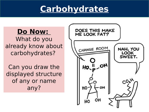 Option B. Biochemistry - Pearson IB Chemistry Lesson PowerPoints (whole ...