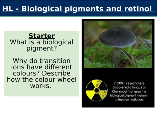 Option B. Biochemistry - Pearson IB Chemistry Lesson PowerPoints (whole ...