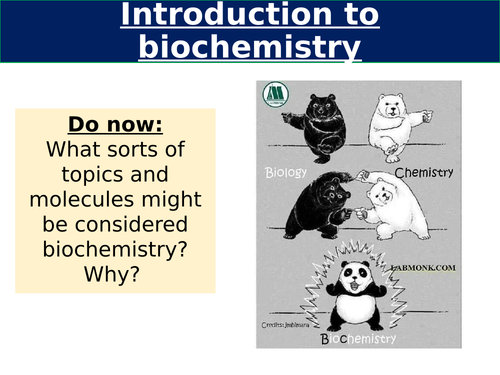 Option B. Biochemistry - Pearson IB Chemistry Lesson PowerPoints (whole ...