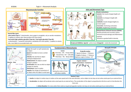 IB SEHS Topic on a page unit 4 | Teaching Resources