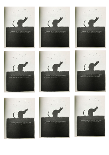 English - Varjak Paw by S F Said | Teaching Resources