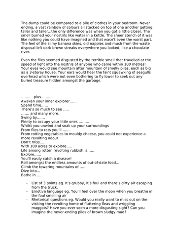 English - Edward Tulane by Kate DiCamillo | Teaching Resources