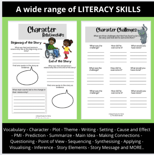 SLIME by David Walliams NOVEL STUDY and READING COMPREHENSION ...